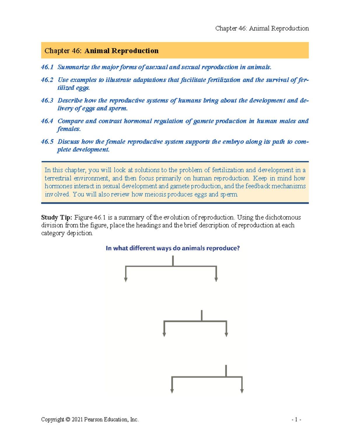 Bio12 ARG 46 - Copyright © 2021 Pearson Education, Inc. - 1 - Chapter ...