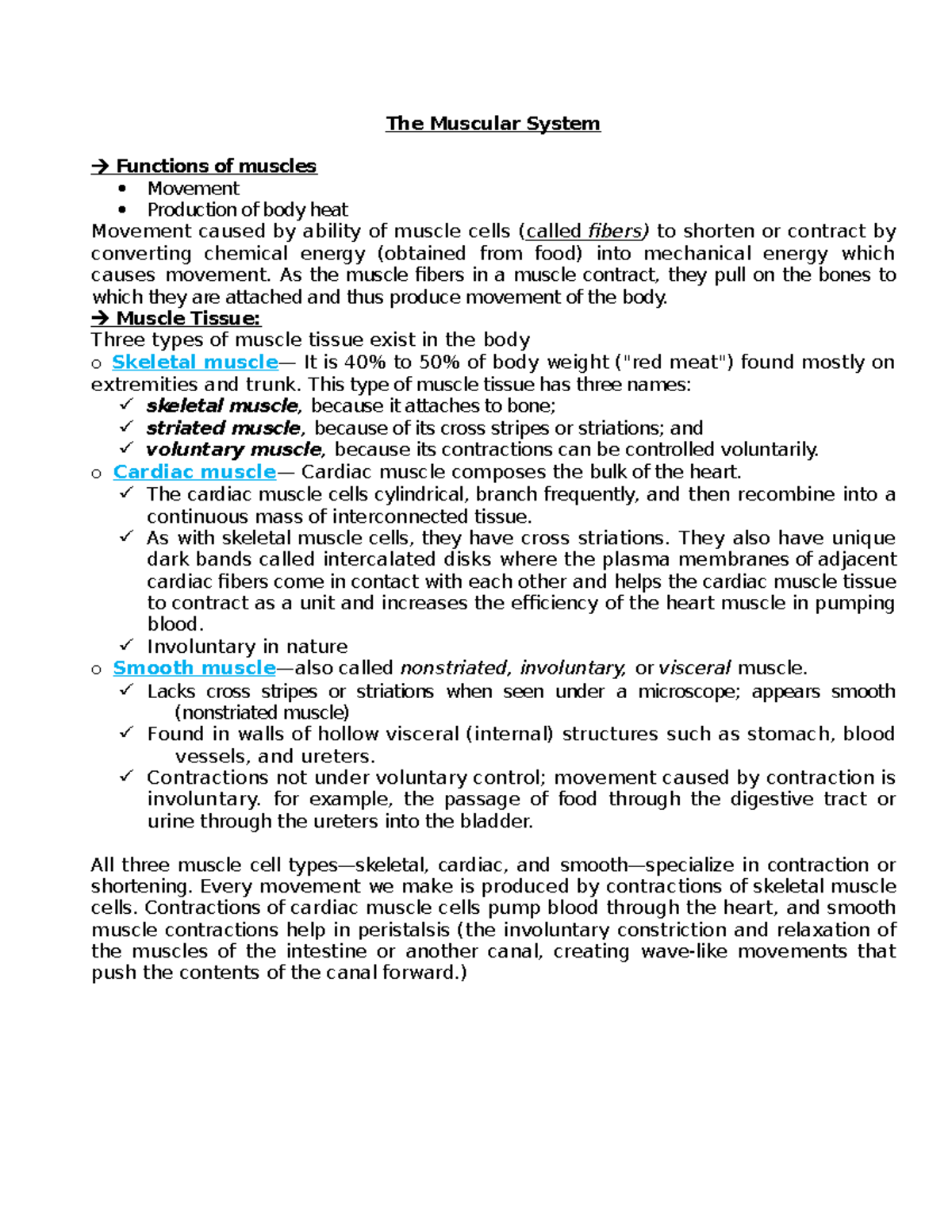 The Muscular System notes updated - The Muscular System Functions of ...