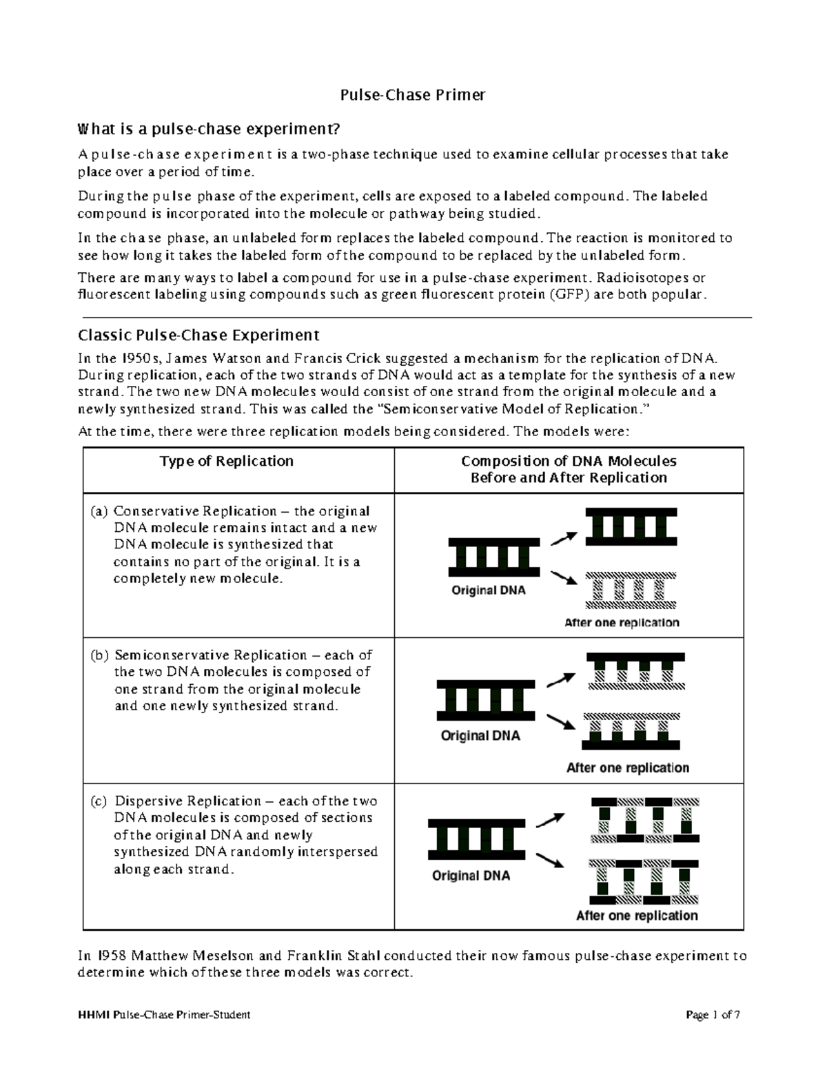 HHMI Pulse-Chase Primer - Student - Pulse-Chase Primer What is a pulse ...