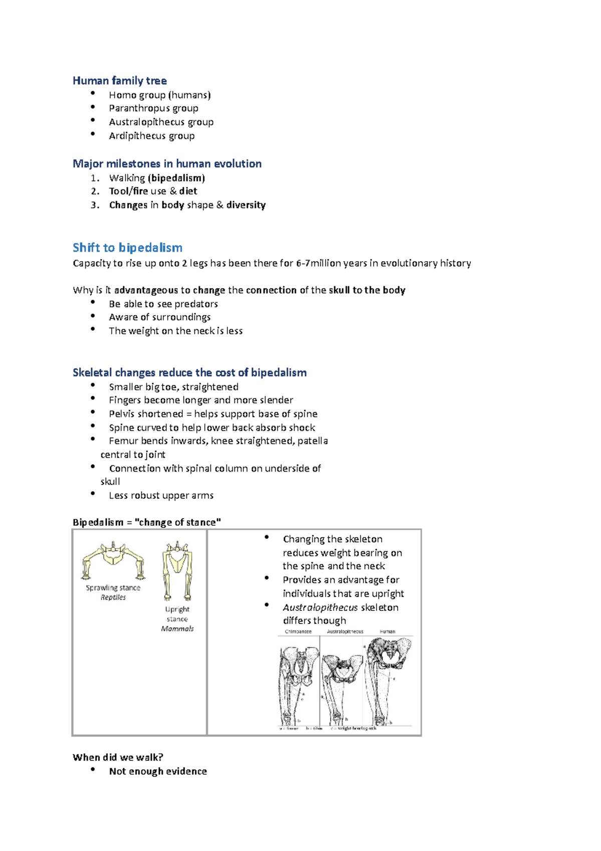 Hominid evolution - Lecture notes - Human family tree Homo group ...