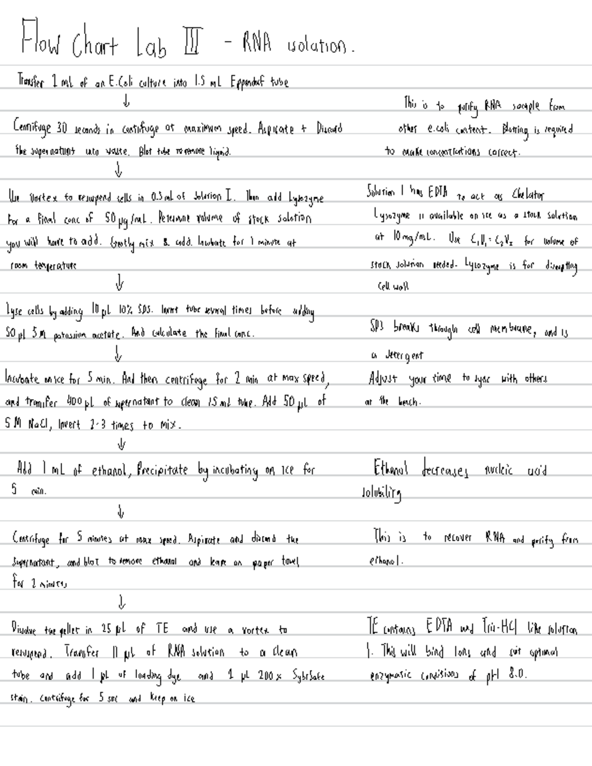 Lab 2 flowchart - Flow Chart Lab III-RNA isolation . Transfer 1mL of an ...