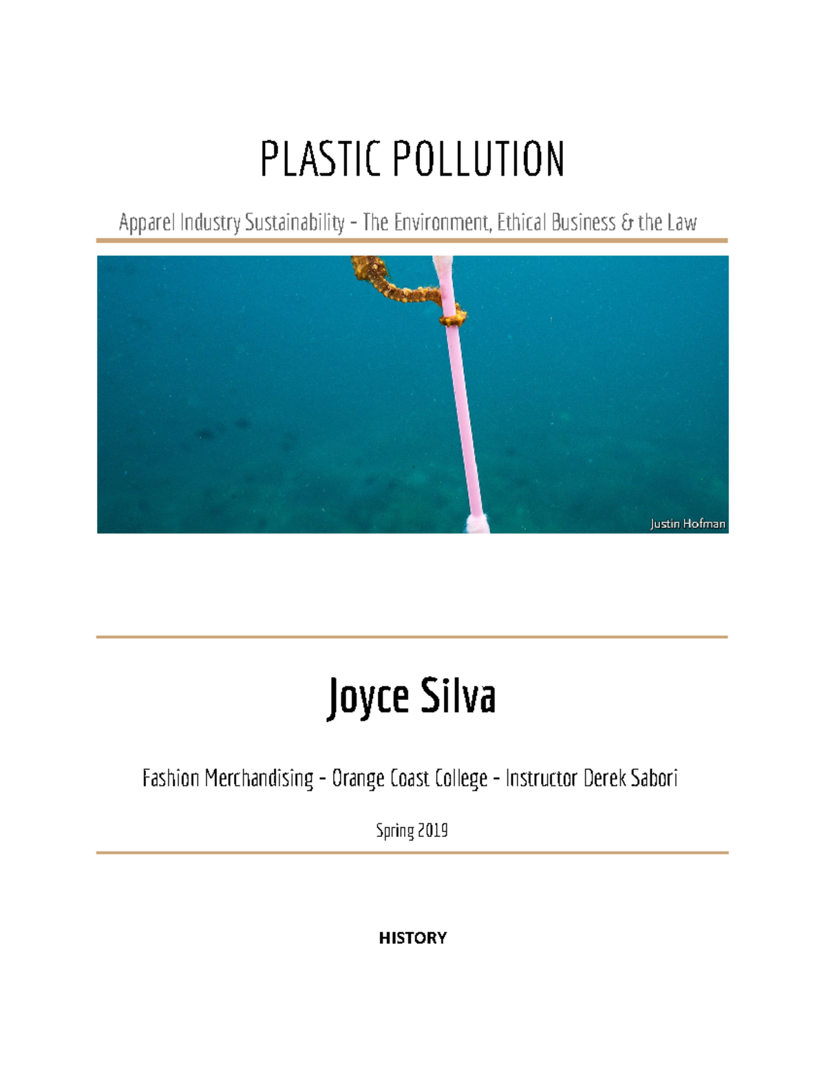 Plastic Pollution Project - PLASTIC POLLUTION Apparel Industry ...