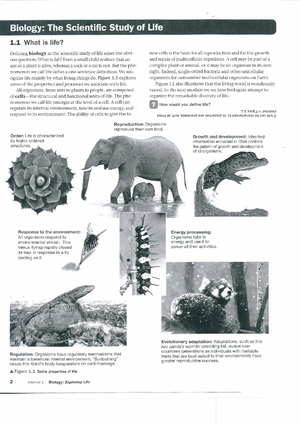 L113 Lab Section Protocol Final - Lab Section Project Protocol Part 1 ...