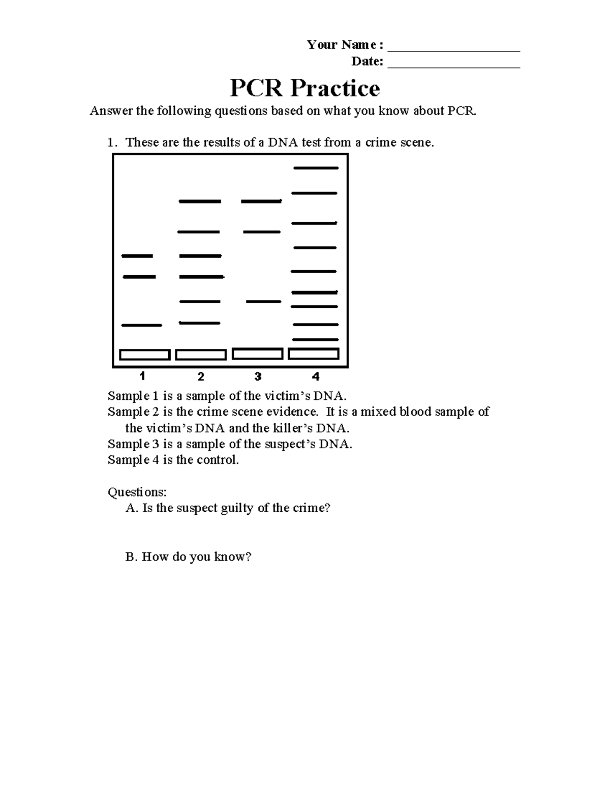 PCRpracticepreview 3 - PCR - Your Name : ___________________ Date ...