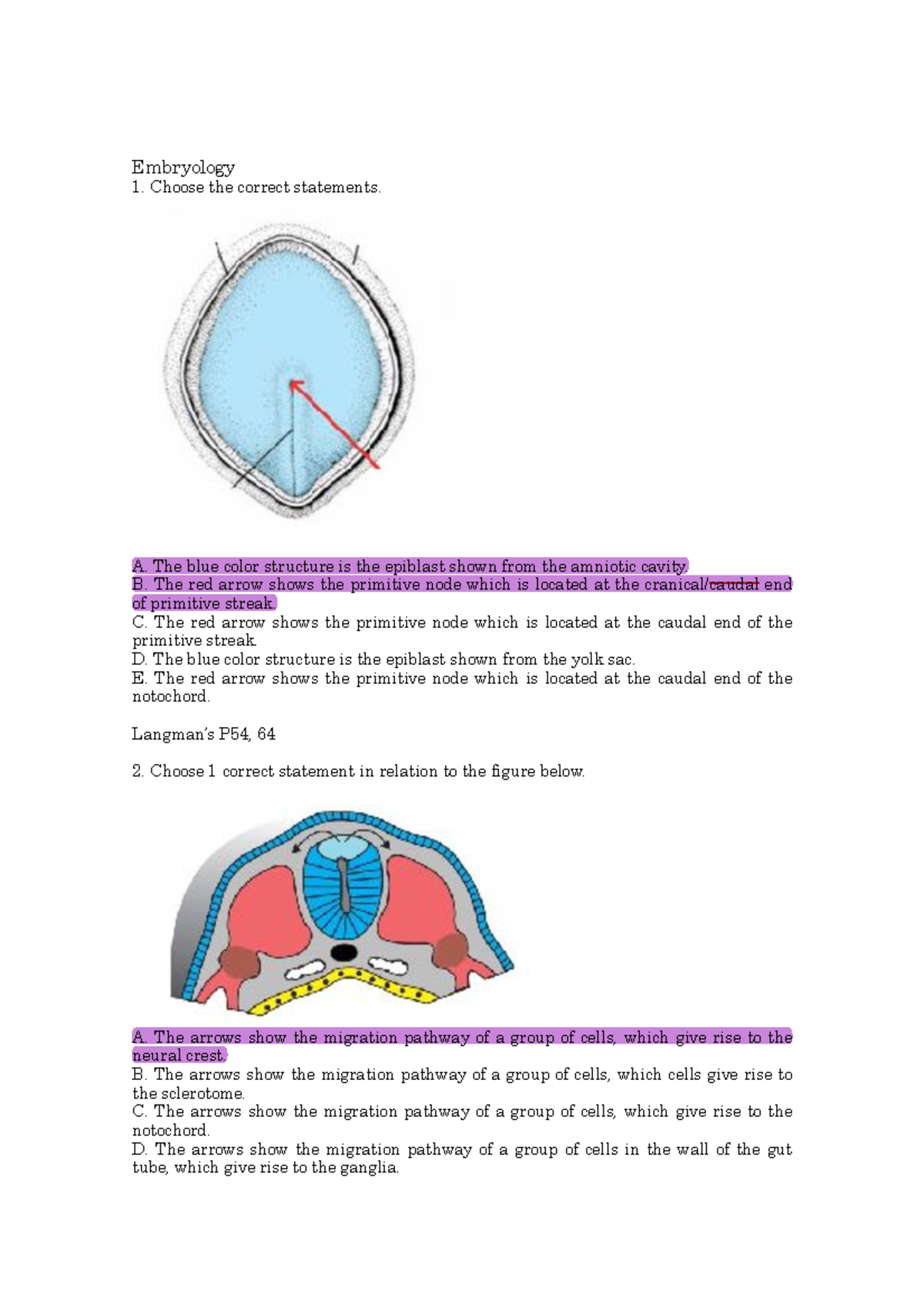 Embryo PP - Embryology Choose the correct statements. ! A. The blue ...