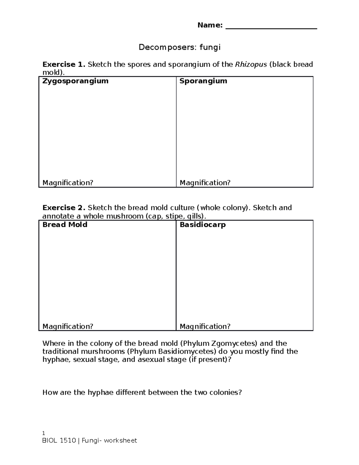 Decomposer Lab Worksheet - Name: __________________________ Decomposers ...