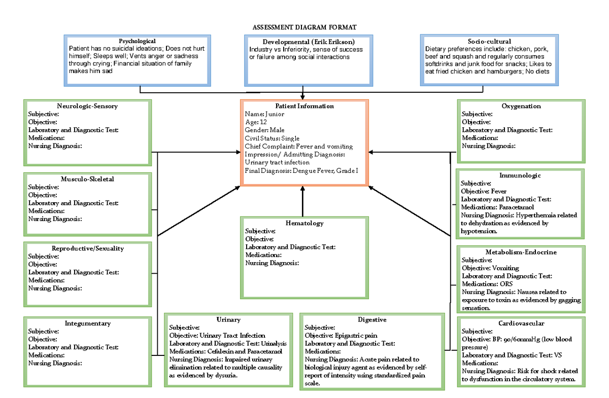 Week 6 Assessment Diagram - ASSESSMENT DIAGRAM FORMAT Psychological ...