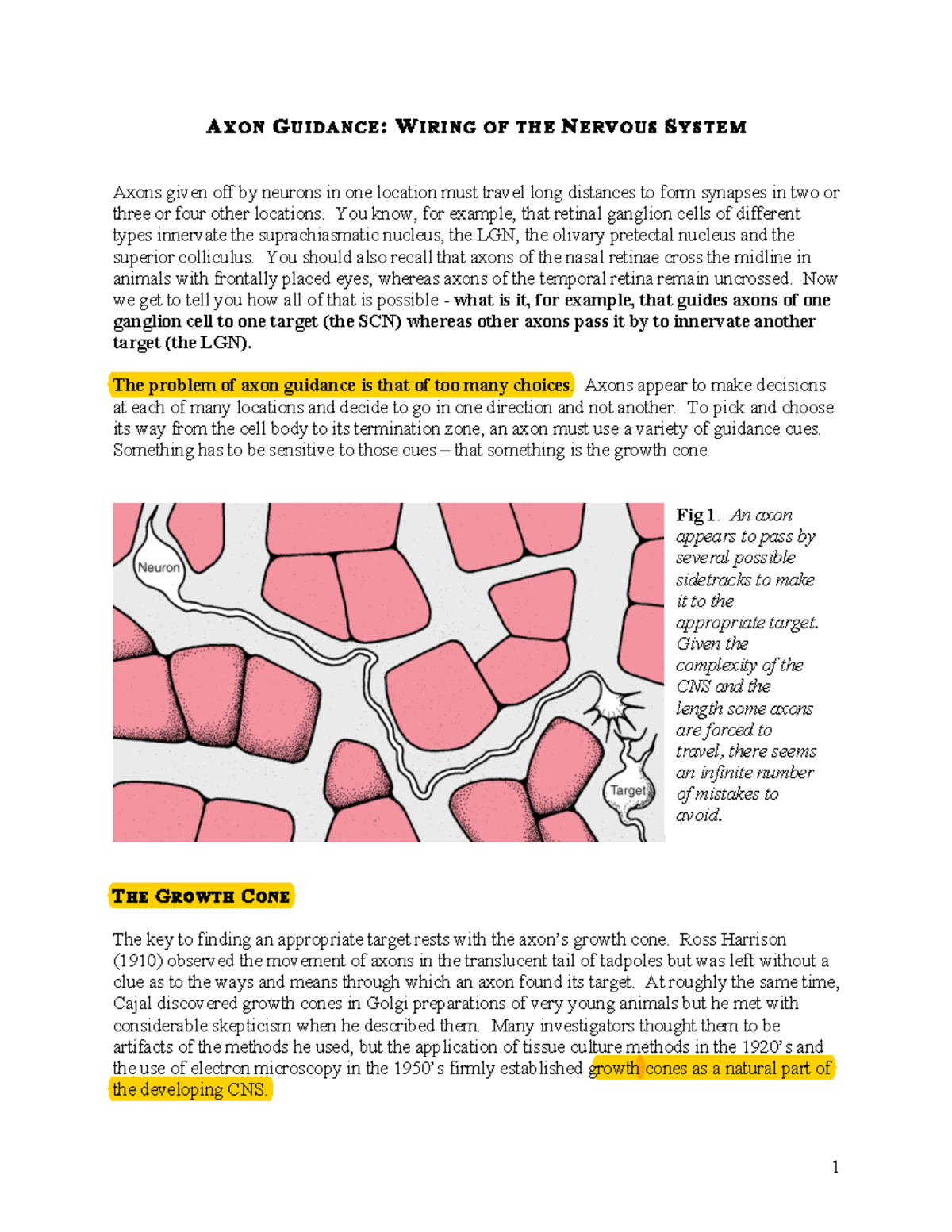 Lecture 10 Axon Guidance - Warning: Popup annotation has a missing or invalid parent annotation ...