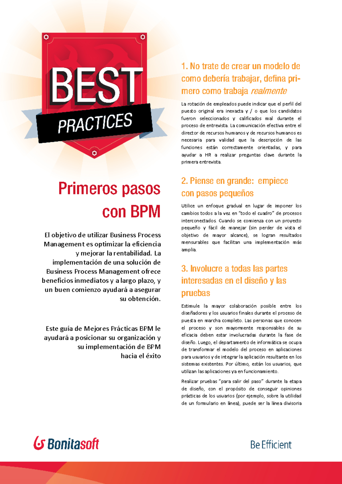 Best Practices for Getting Started with BPM ES 040613 - [Type text ...