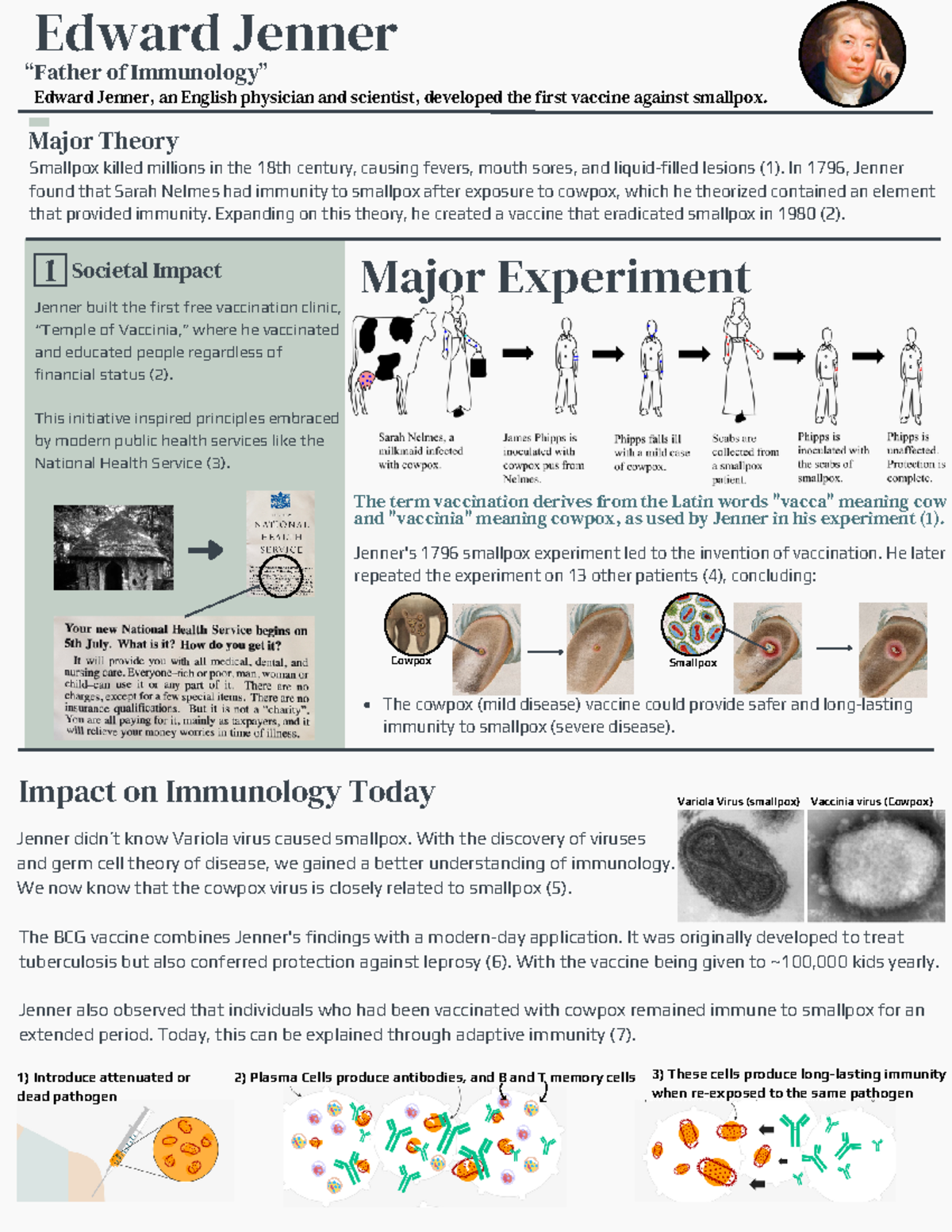 IMM221 - Infographic - Smallpox killed millions in the 18th century ...