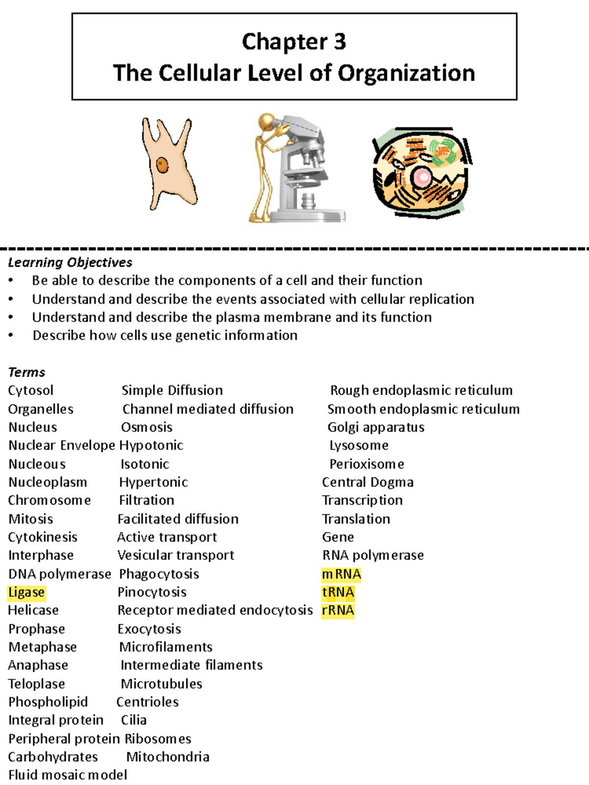Chapter 3 - Chapter 3 The Cellular Level of Organization Learning ...