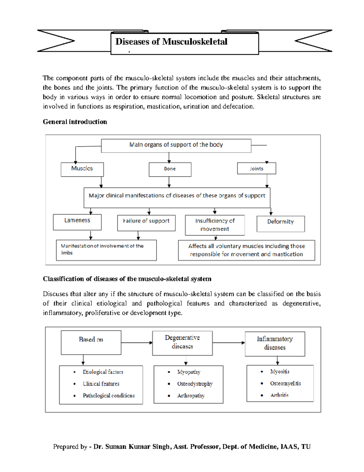 Musculo skeletal disease - The component parts of the musculo-skeletal ...