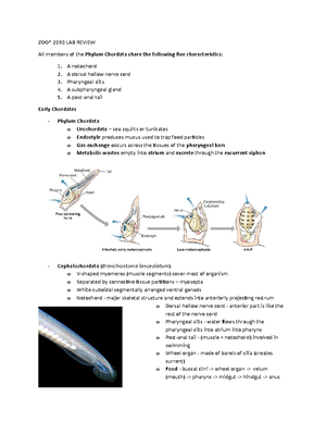 Mink Dissection guidelines - Mink Dissection – Laboratory Guidelines 1. BE PRESENT AND ON TIME ...