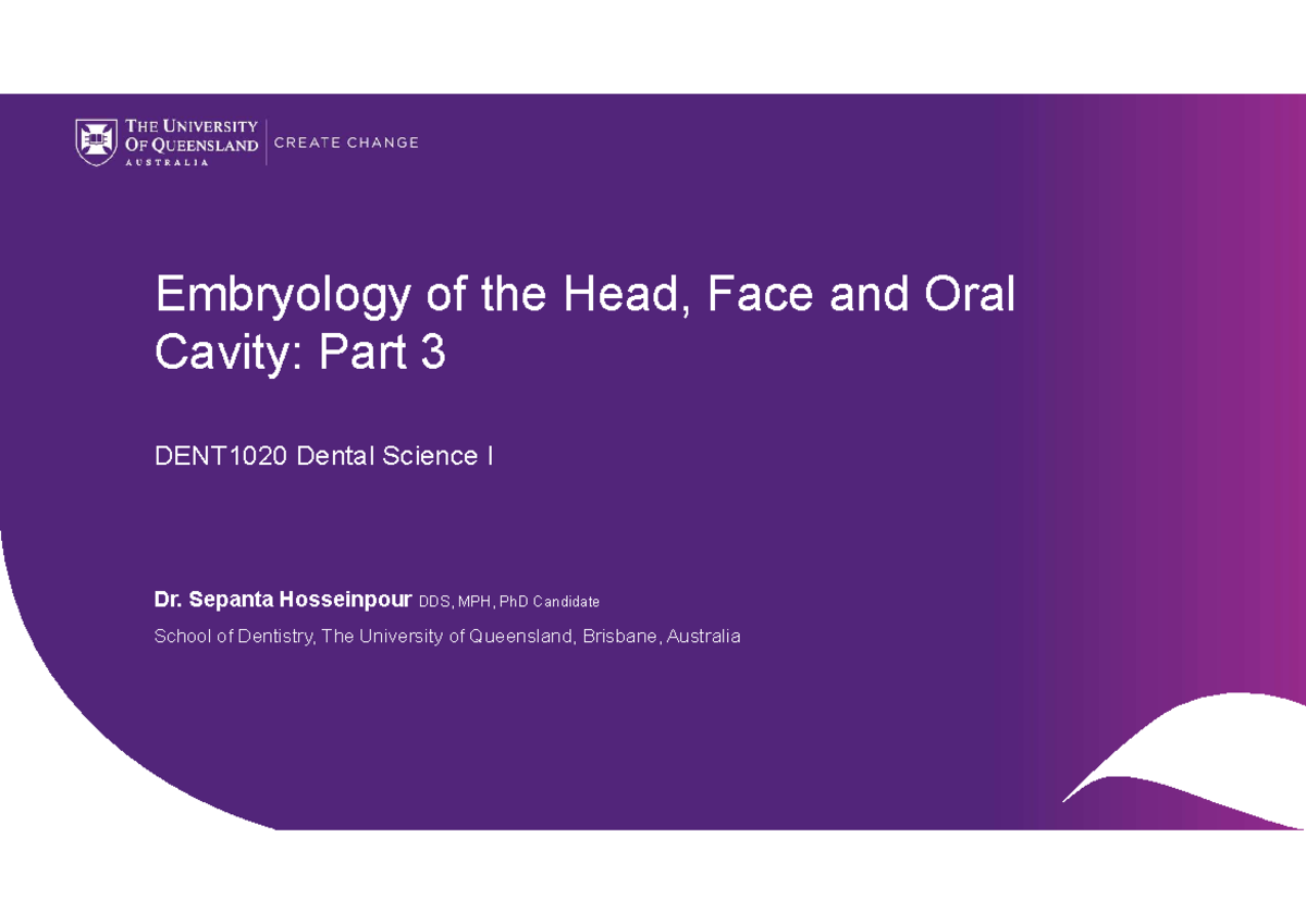 Embryology of the Head Face and Neck part 3 - Embryology of the Head ...