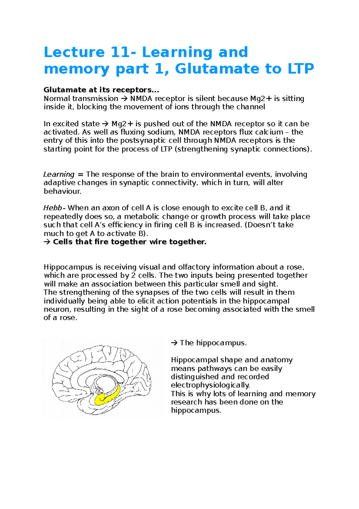 Lecture 11- Glutamate to LTP - Lecture 11- Learning and memory part 1 ...