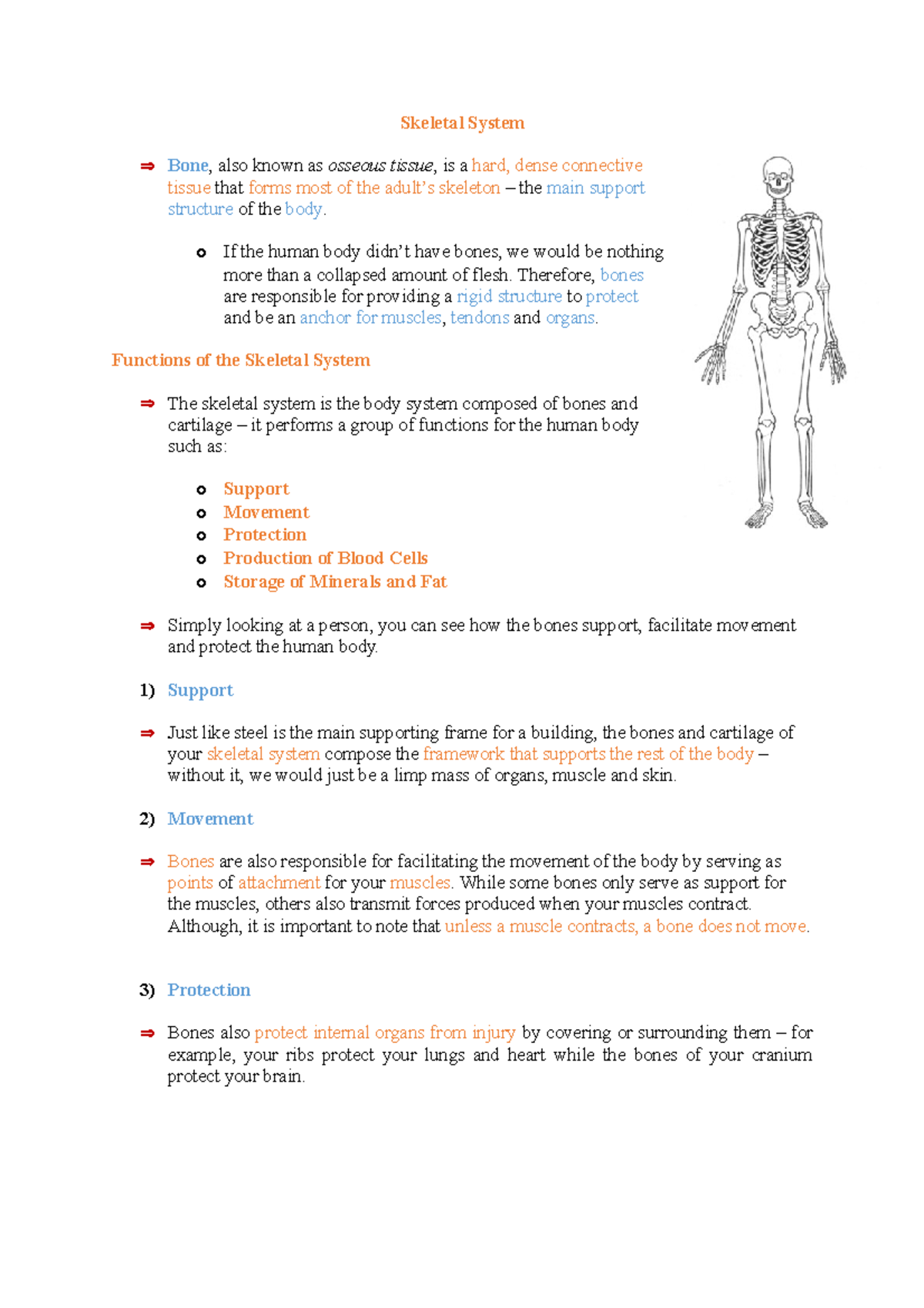 skeletal-system-skeletal-system-bone-also-known-as-osseous-tissue
