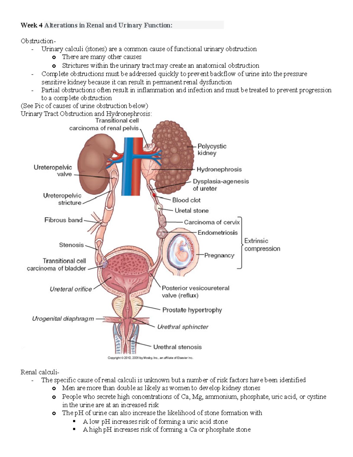 NR 507 week 4 notes - Week 4 Alterations in Renal and Urinary Function ...