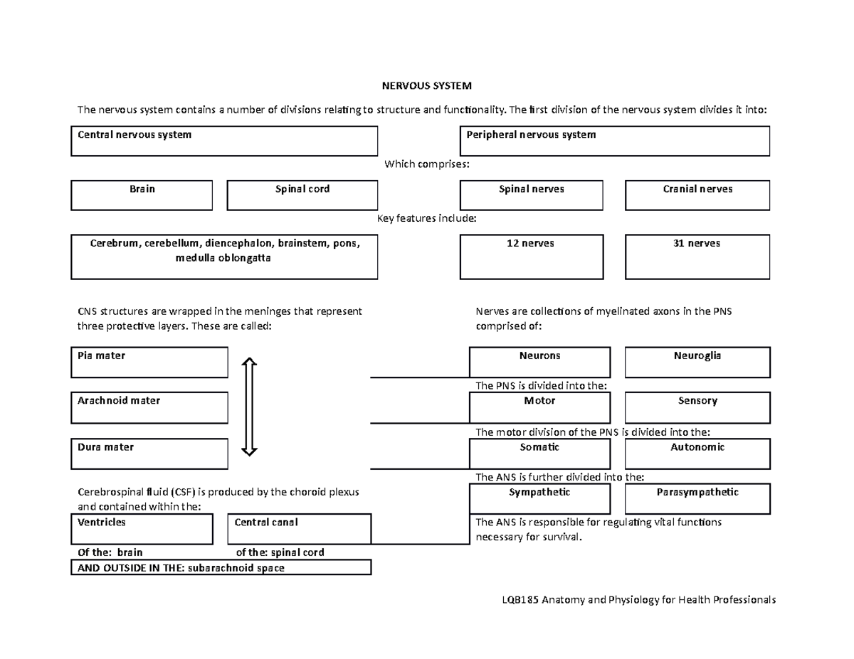 Gkhpe-Nervous System Worksheet - NERVOUS SYSTEM The nervous system ...