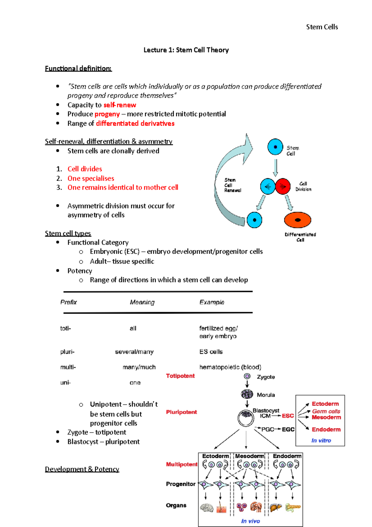 Stem Cells L1 - Lecture notes 1 - Lecture 1: Stem Cell Theory Funcional ...