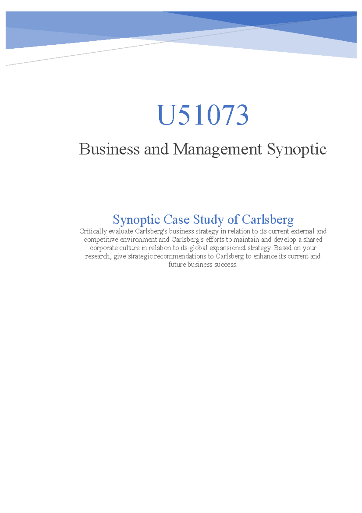 Synoptic Carlsberg Final - U51073 Business and Management Synoptic ...