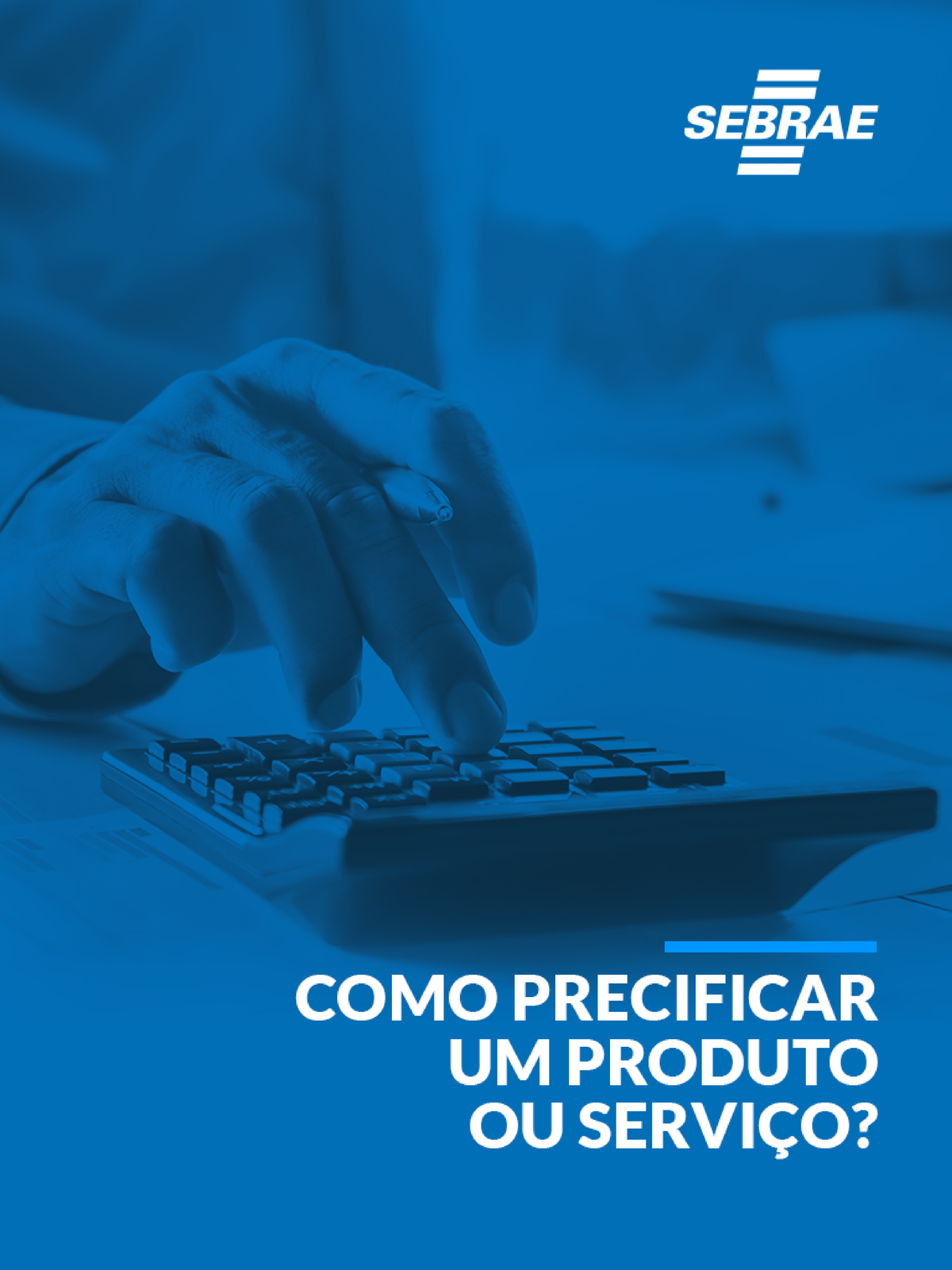 Como precificar um produto ou servico - Como precificar corretamente um ...