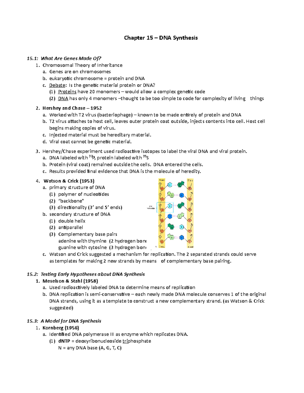 Ch 15, DNA Replication, 5th ed - Chapter 15 – DNA Synthesis 15: What ...