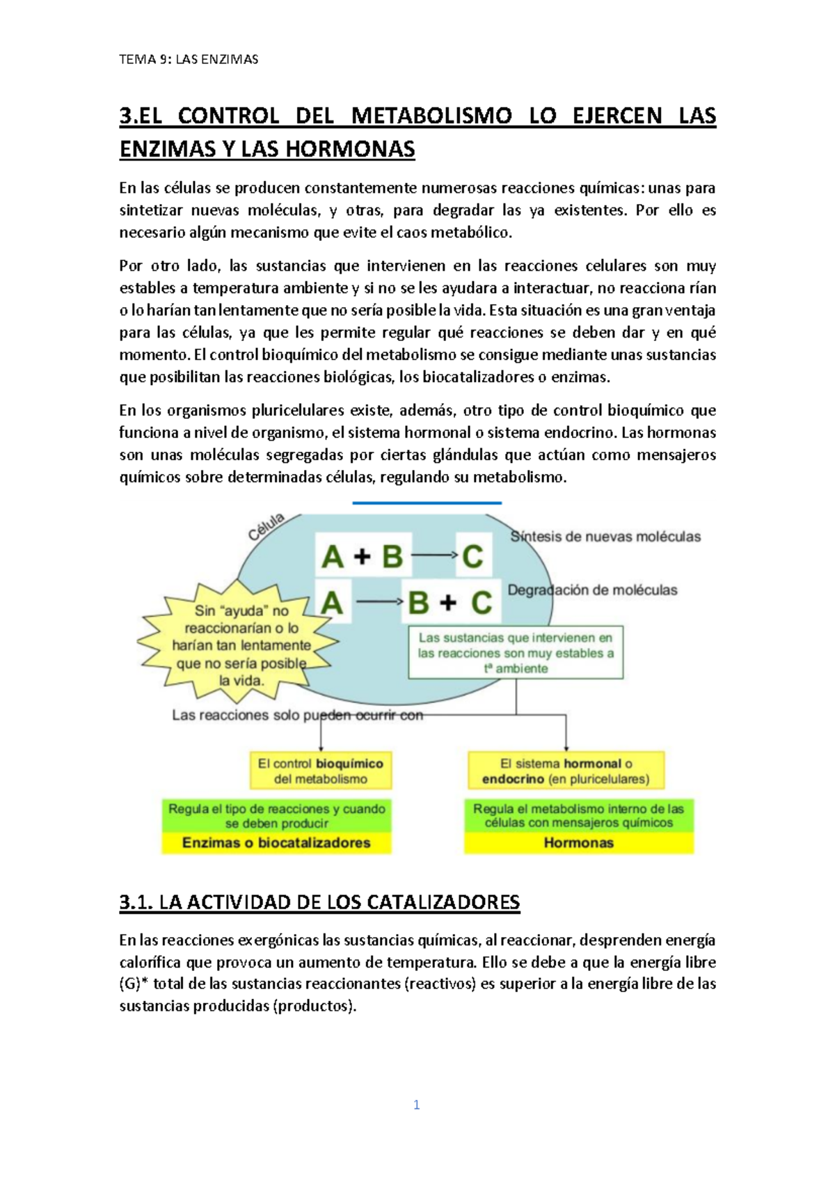 TEMA 9 Enzimas BIO - tema - 3 CONTROL DEL METABOLISMO LO EJERCEN LAS ...