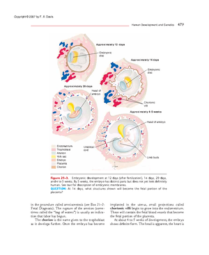 Mammalian Anatomy And Physiology (51) - Reproductive Systems—purpose is ...