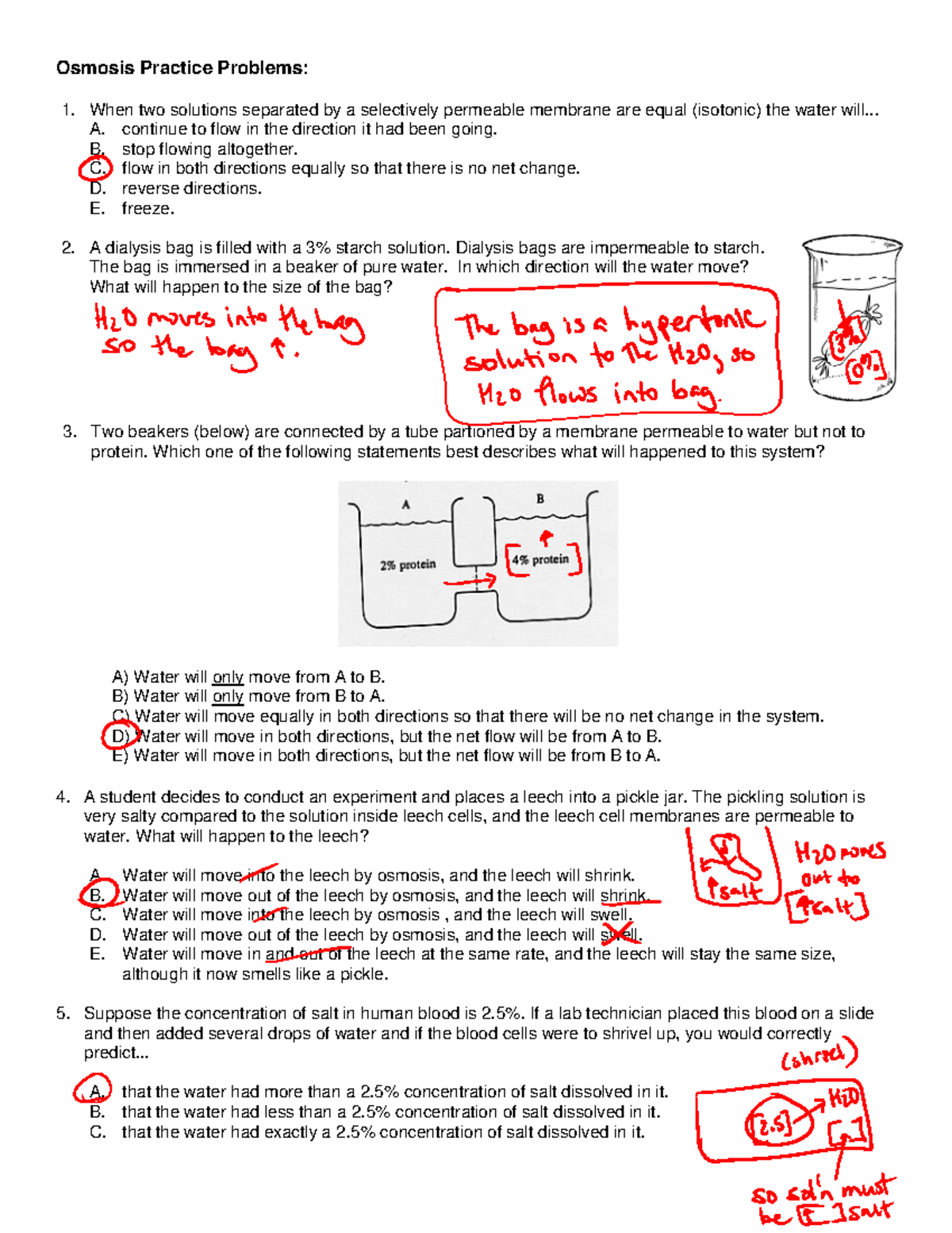 10 - osmosis practice problems p1 key - Osmosis Practice Problems: When ...