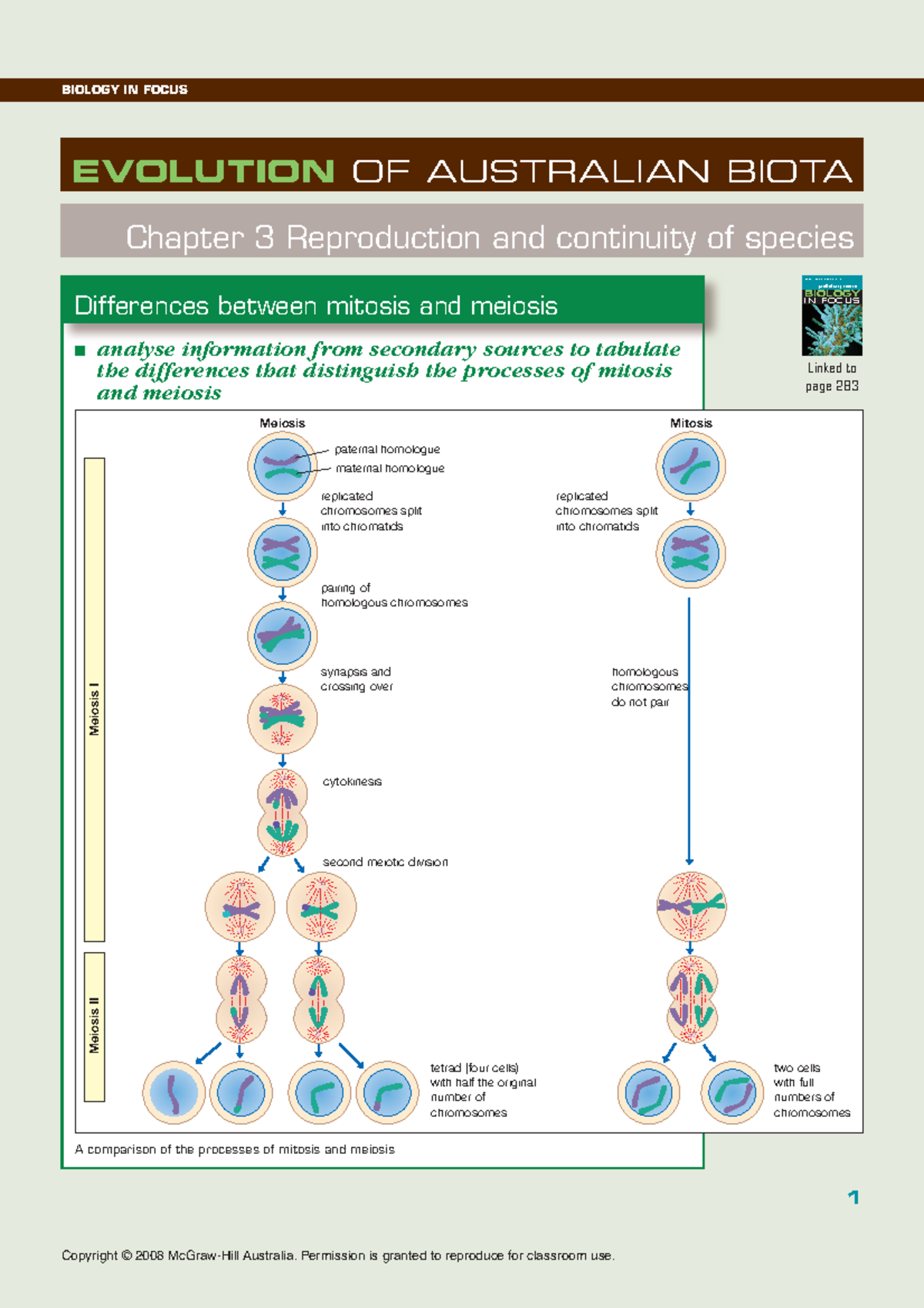 1.6.1b Differences between mitosis and meiosis flow diagram. - BIOLOGY ...