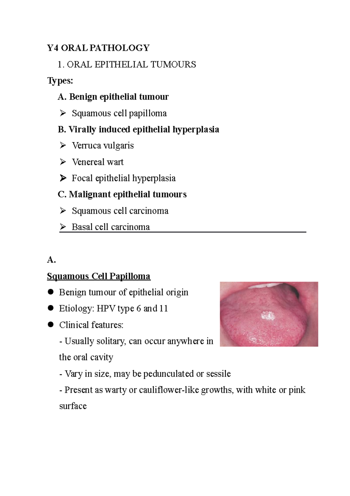 Y4 ORAL Pathology (I) - Y4 ORAL PATHOLOGY 1. ORAL EPITHELIAL TUMOURS ...