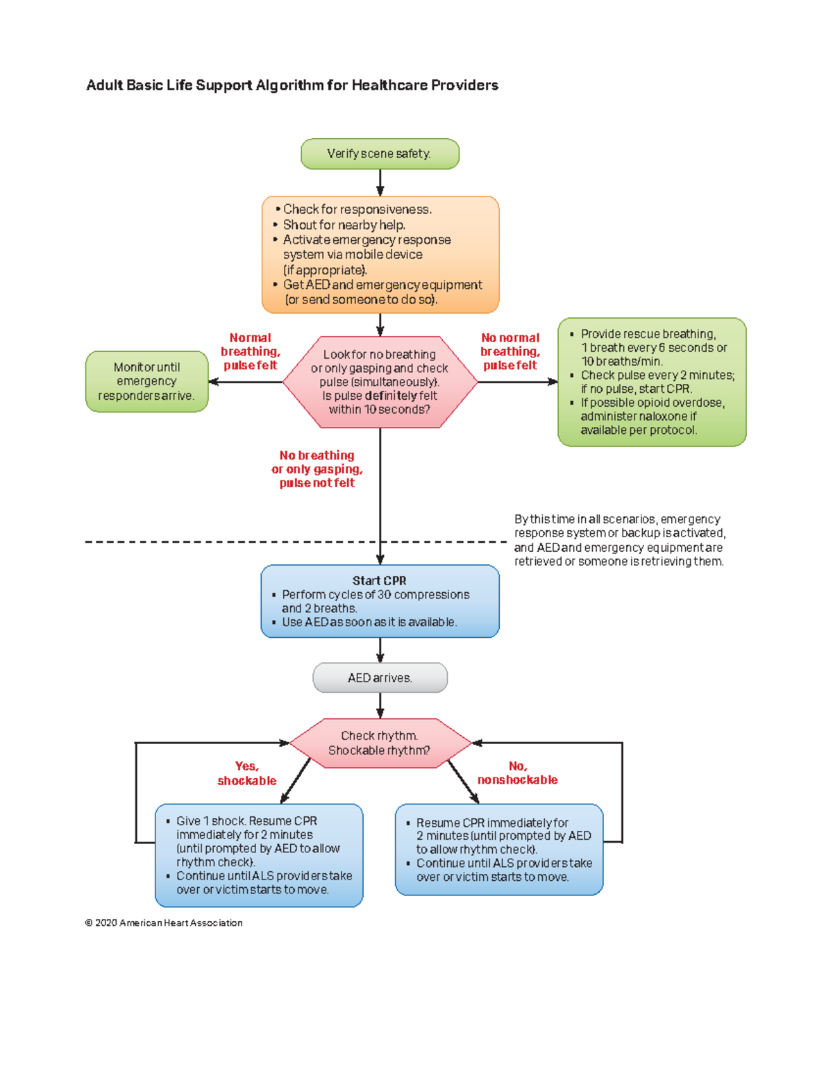1. Adult BLS Algorithm for Healthcare Providers - No, nonshockable Yes ...