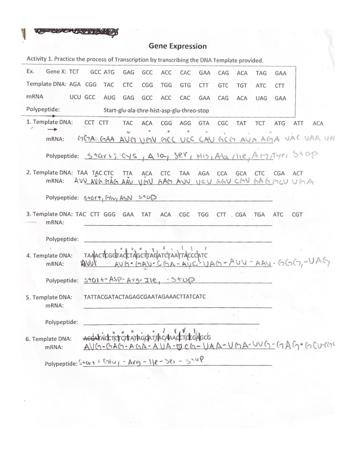 Gene Expression - assignemnt - BIOL 1408H - Studocu