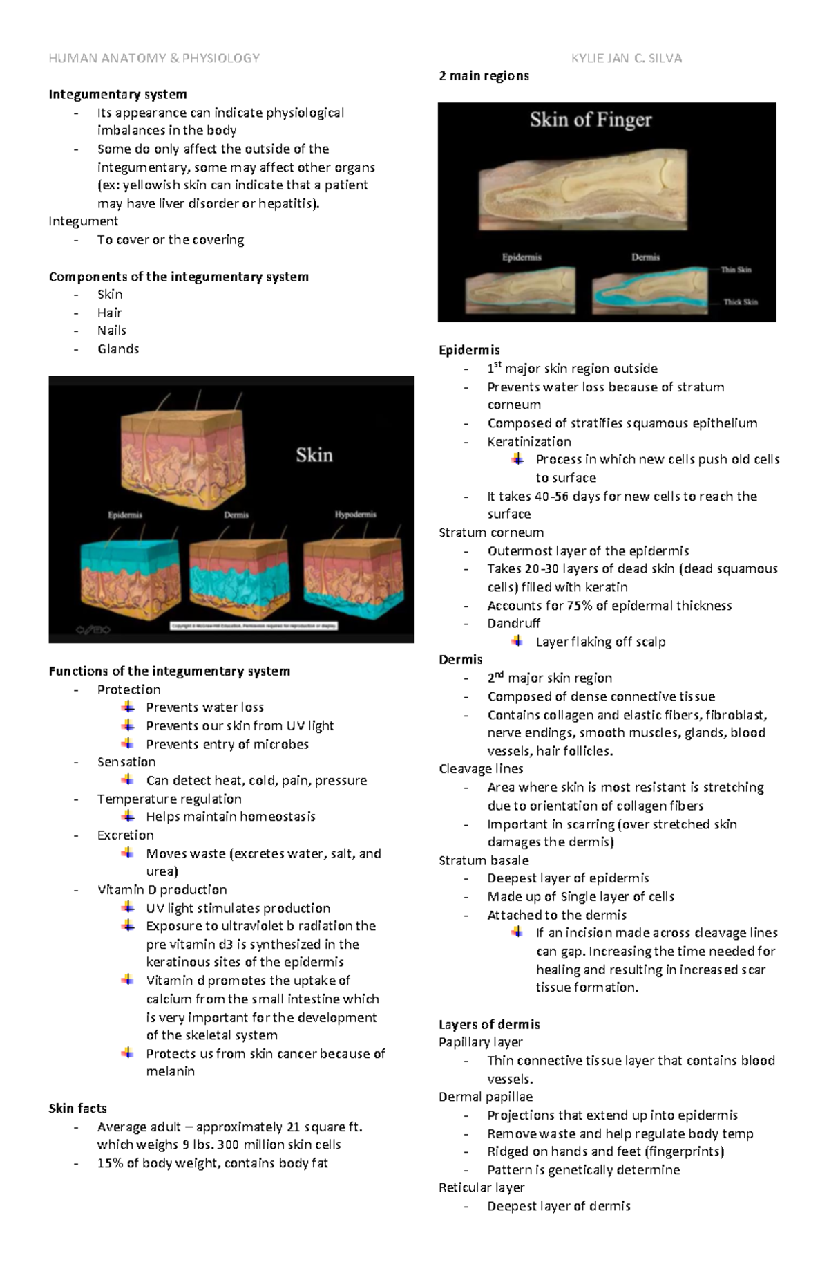HAPP-5 - Transcribe notes about the integumentary system ...
