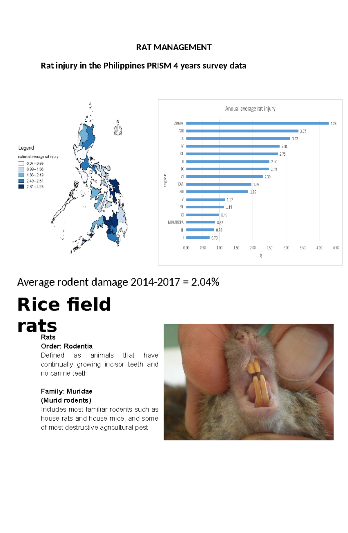 RAT Management - rats are an important issue in cities globally ...