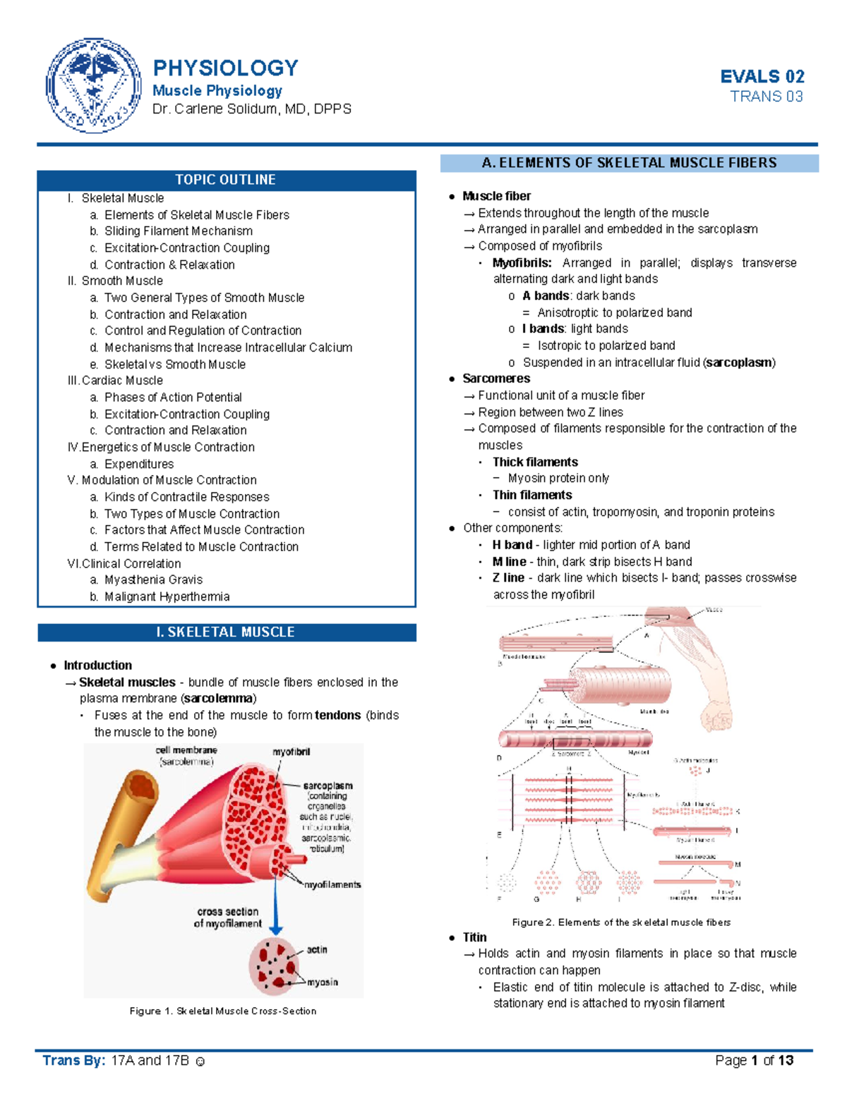2.3 Phsyiology Muscle Physiology - Muscle Physiology Dr. Carlene ...
