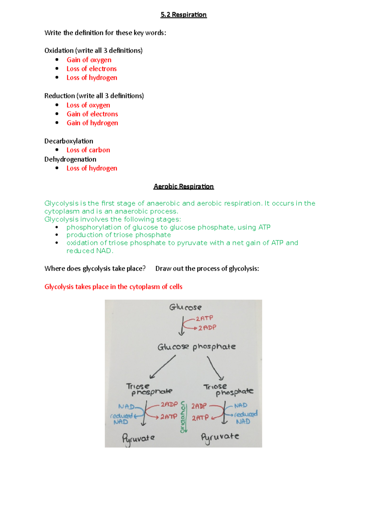 A level AQA Biology Respiration - 5 Respiration Write the definition ...