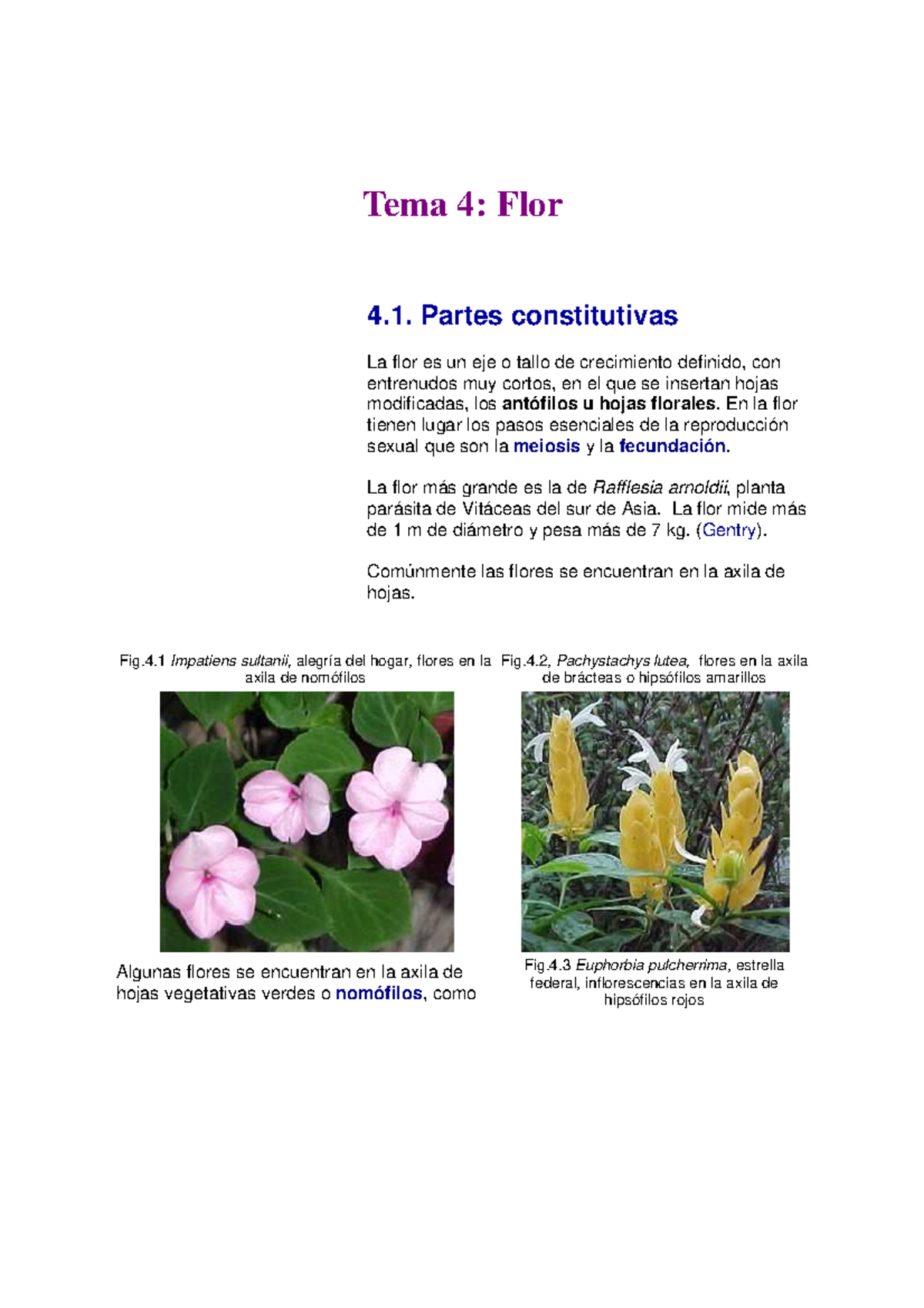 LA FLOR - Morfología vegetal de la Flor - Tema 4: Flor 4. Partes ...