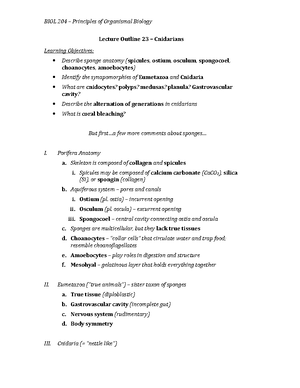 BIOL 204 Lecture 36 Outline - Animal Development - BIOL 204 ...