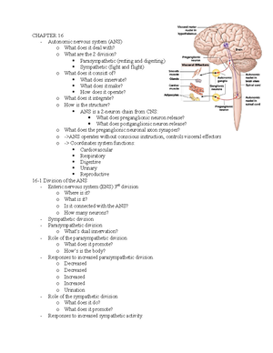 A&P - a&p - Chapter 1 Anatomy: is the study of internal & external ...