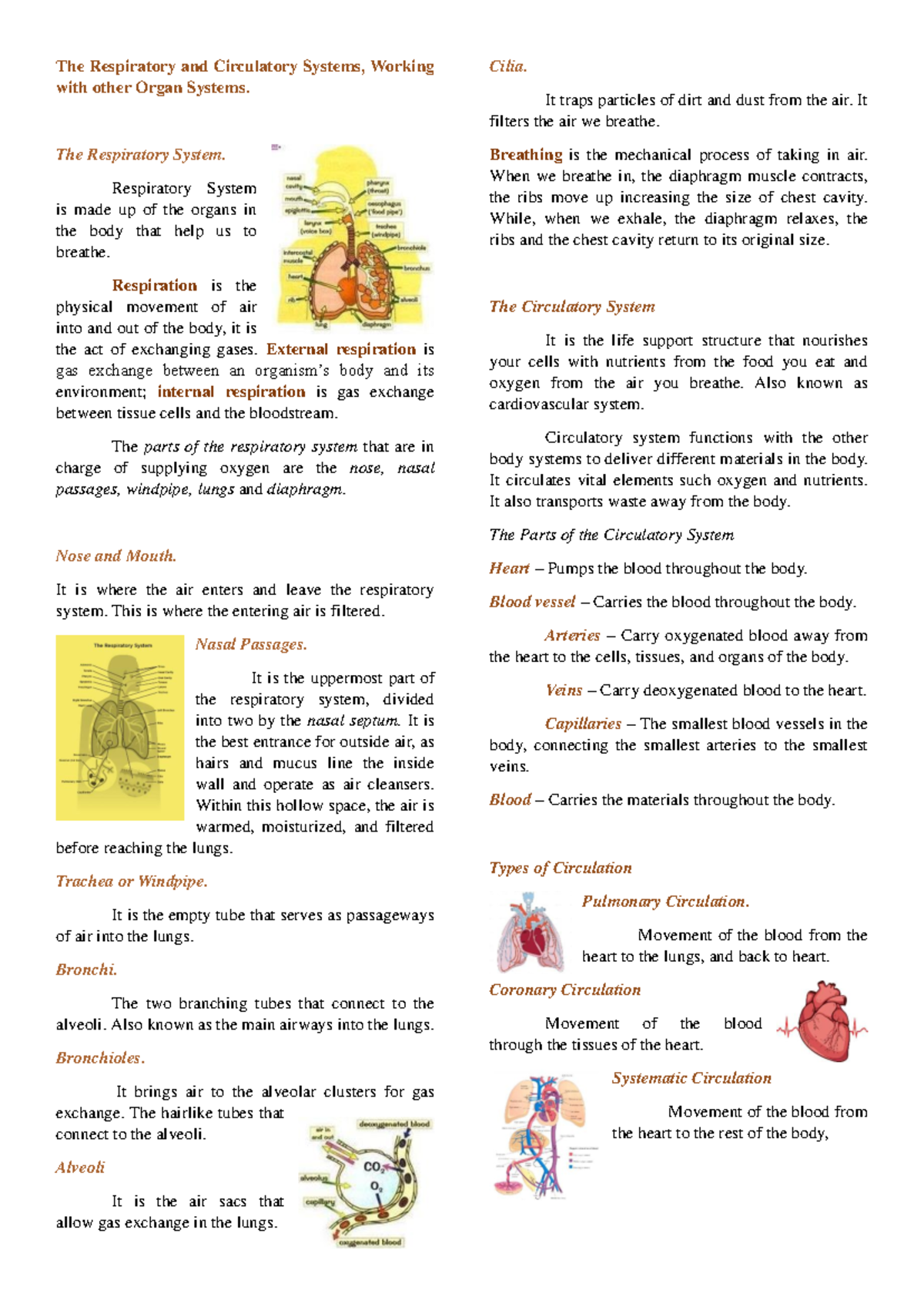 Science q1 q4 notes - The Respiratory and Circulatory Systems, Working ...