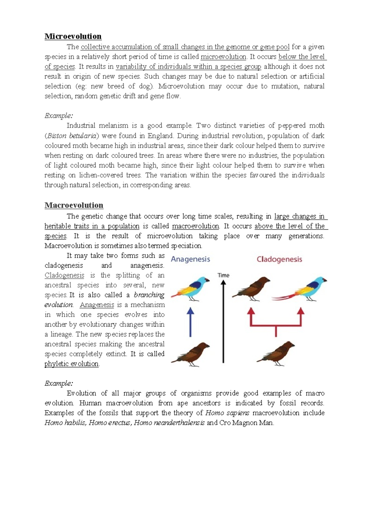 PDF document - Zoology - Microevolution The collective accumulation of ...