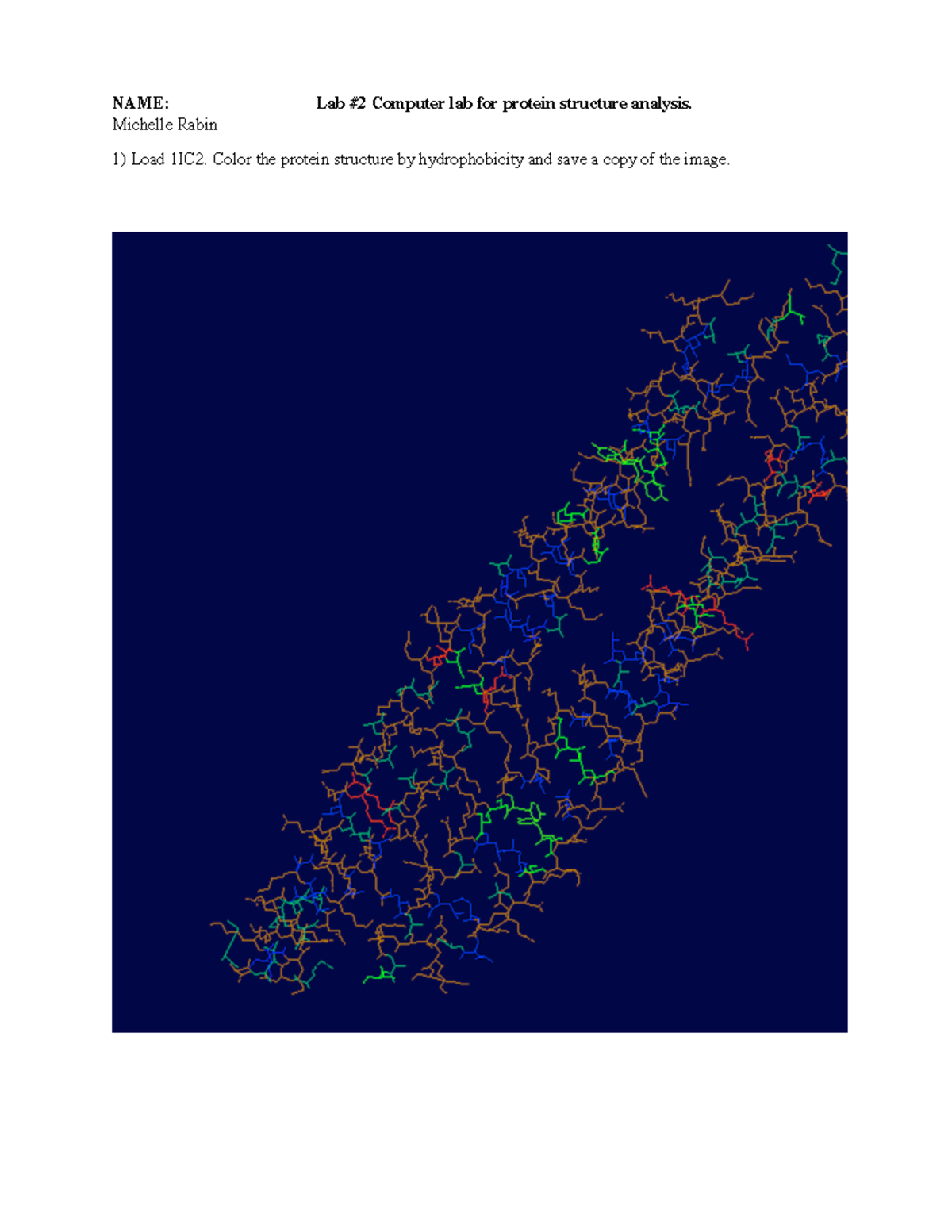 Biochem lab2 - lab - NAME: Lab #2 Computer lab for protein structure ...