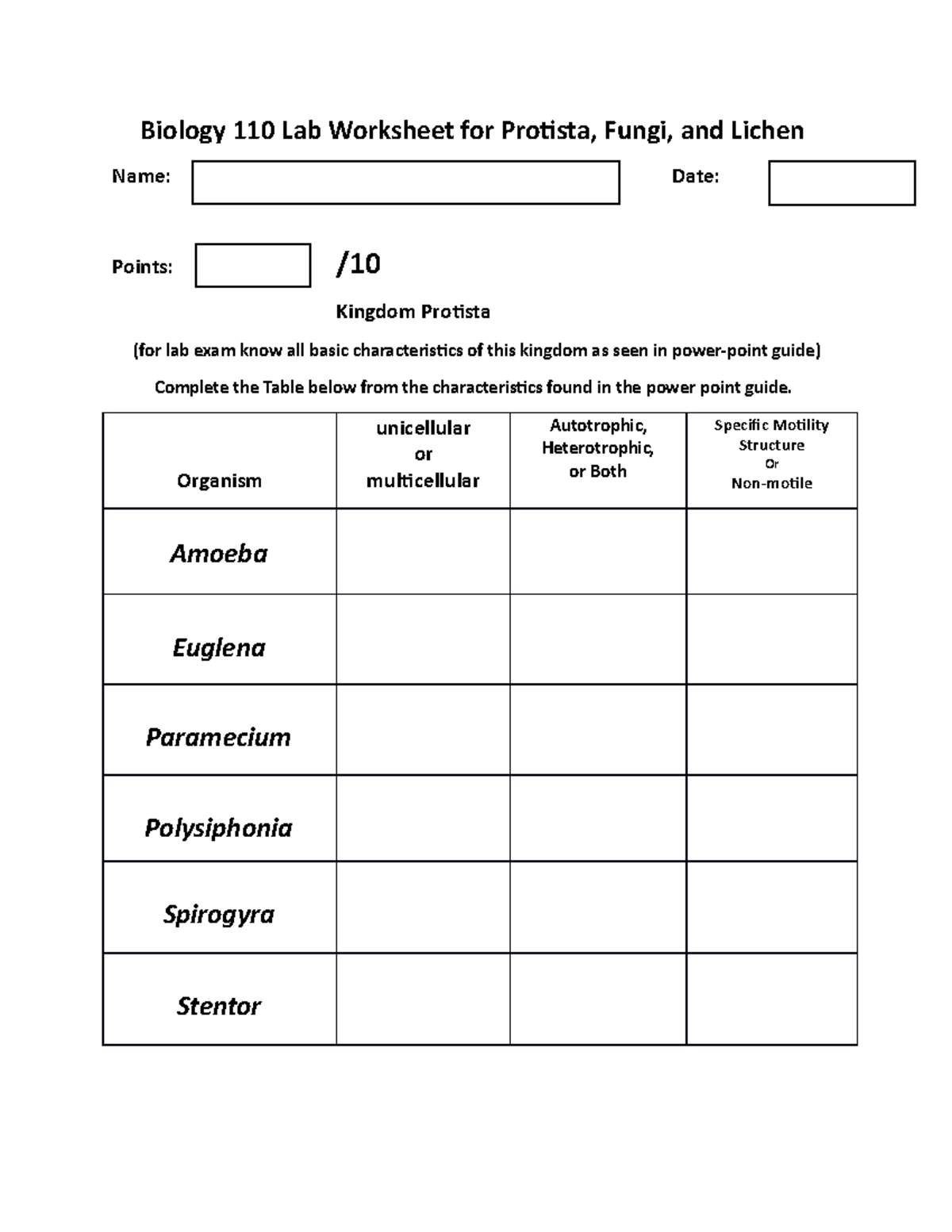 Bacteria Fungi Protist And Virus Worksheet