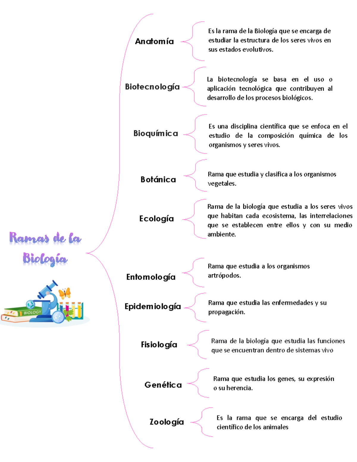 Ramas de la biologia - BioquÌmica Es una disciplina cientÌfica que se ...