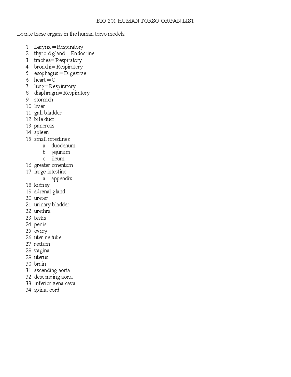 Human torso lab - BIO 201 HUMAN TORSO ORGAN LIST Locate these organs in ...