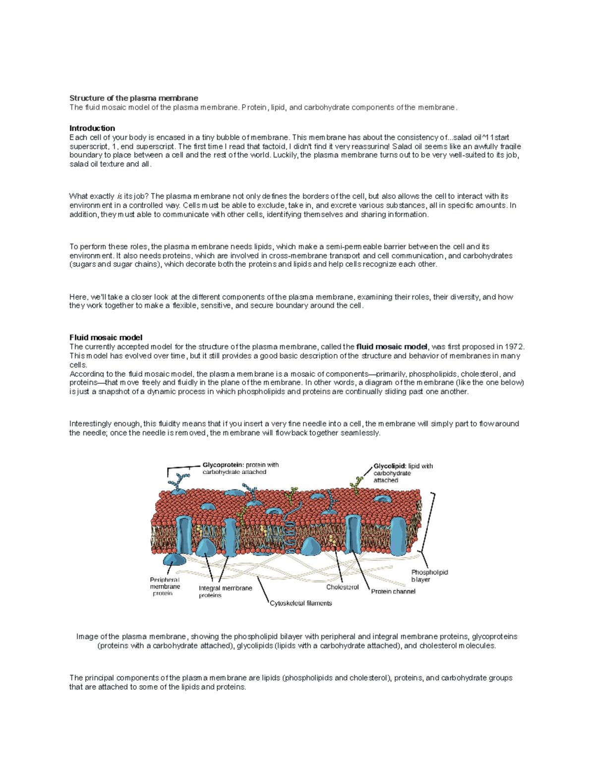 Study Guide for Exame 2 - Structure of the plasma membrane The fluid ...
