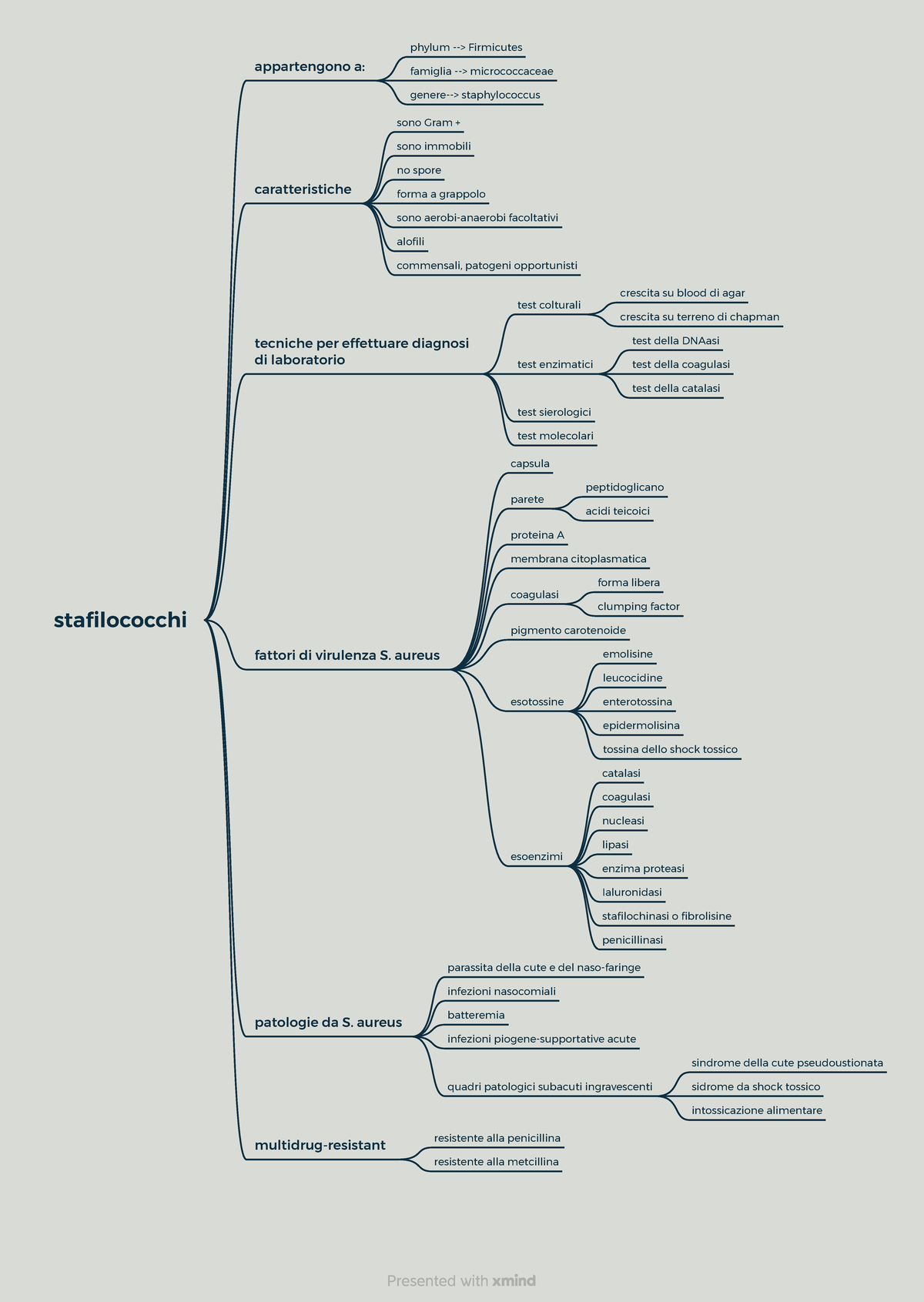 Stafilococchi - Riassunto Fondamenti DI Immunologia e Microbiologia Medica - stafilococchi - Studocu