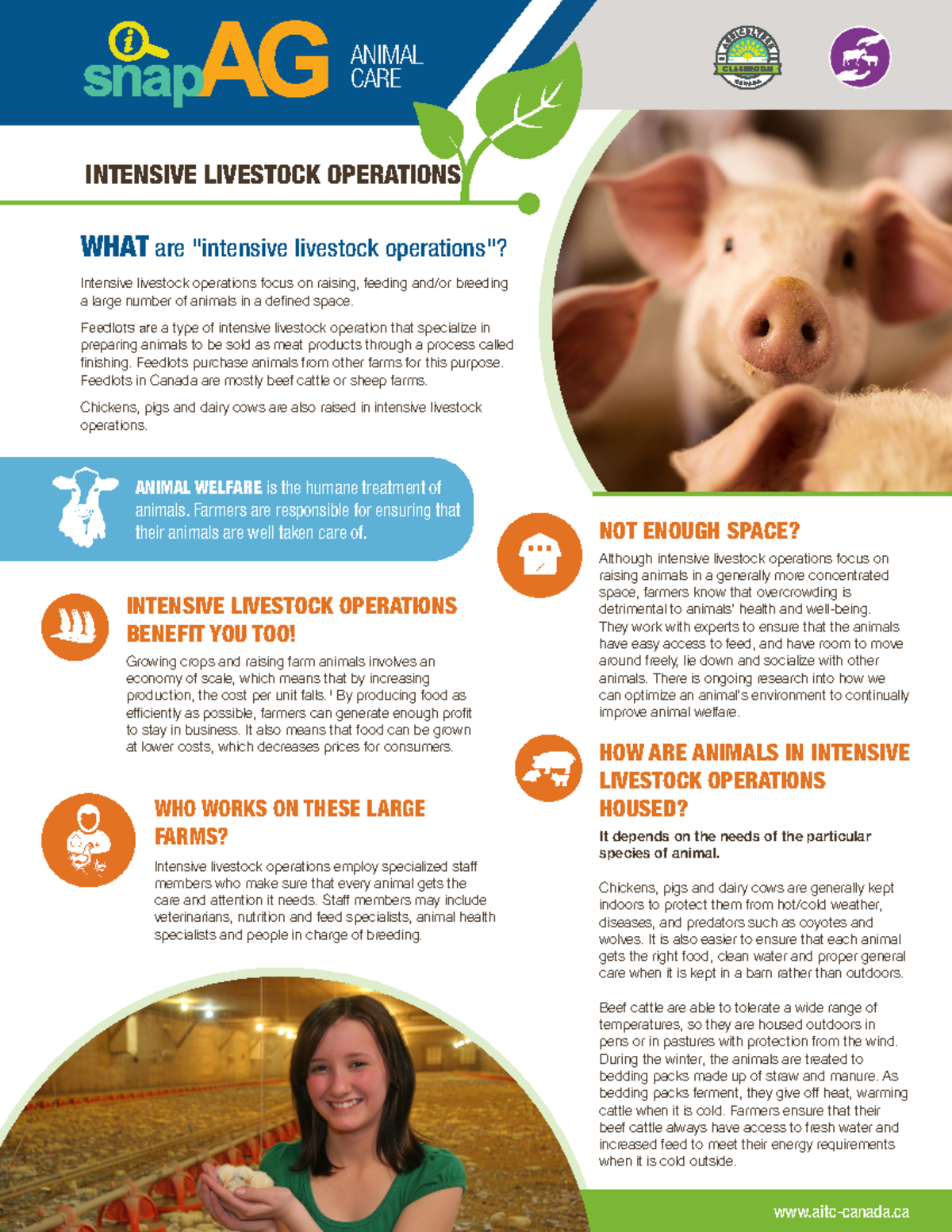 Intensive Livestock Operations ENG - INTENSIVE LIVESTOCK OPERATIONS ...