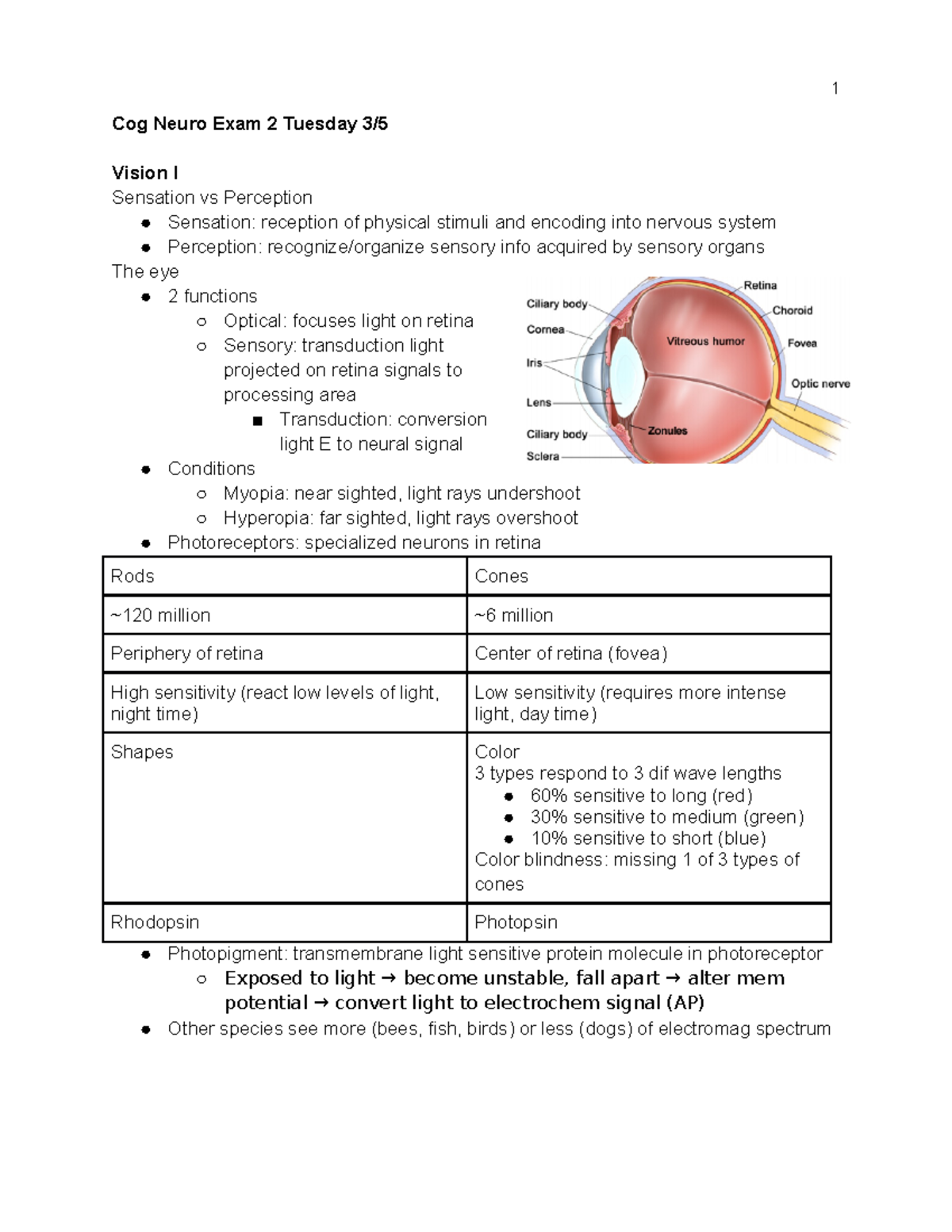 Exam 2 Study Guide - Cog Neuro Exam 2 Tuesday 3/ Vision I Sensation vs ...